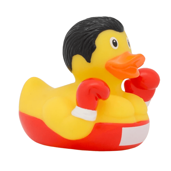 Boxing Duck | Duckhouse