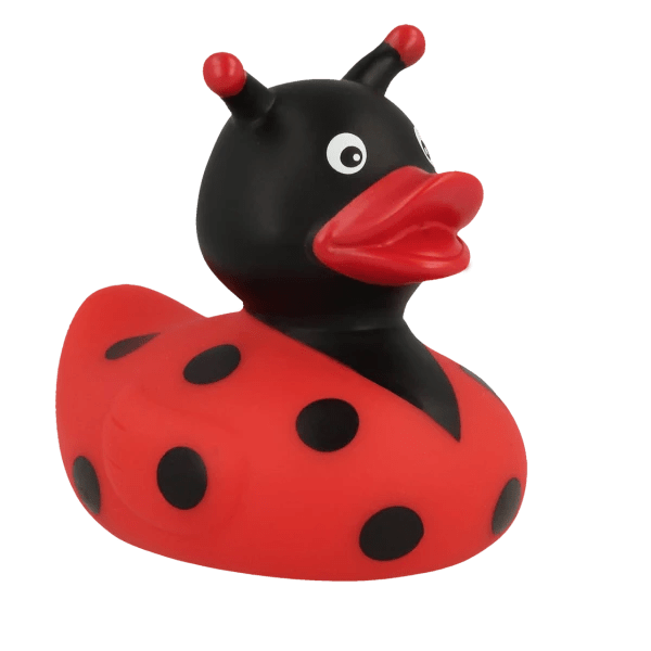 Ladybug Duck | Duckhouse