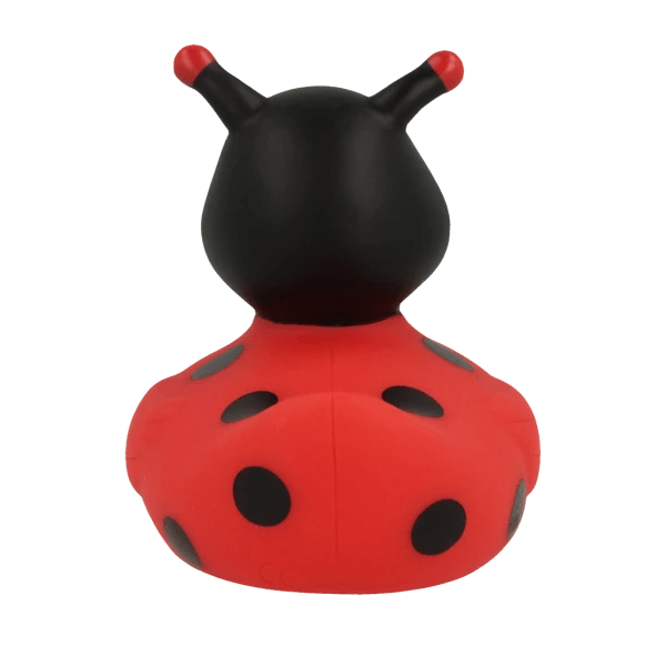 Ladybug Duck | Duckhouse