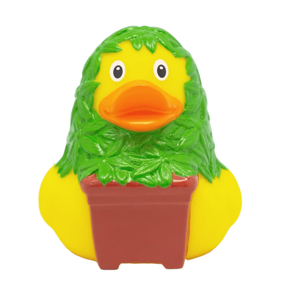 Cannabis Duck | Duckhouse