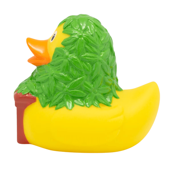 Cannabis Duck | Duckhouse