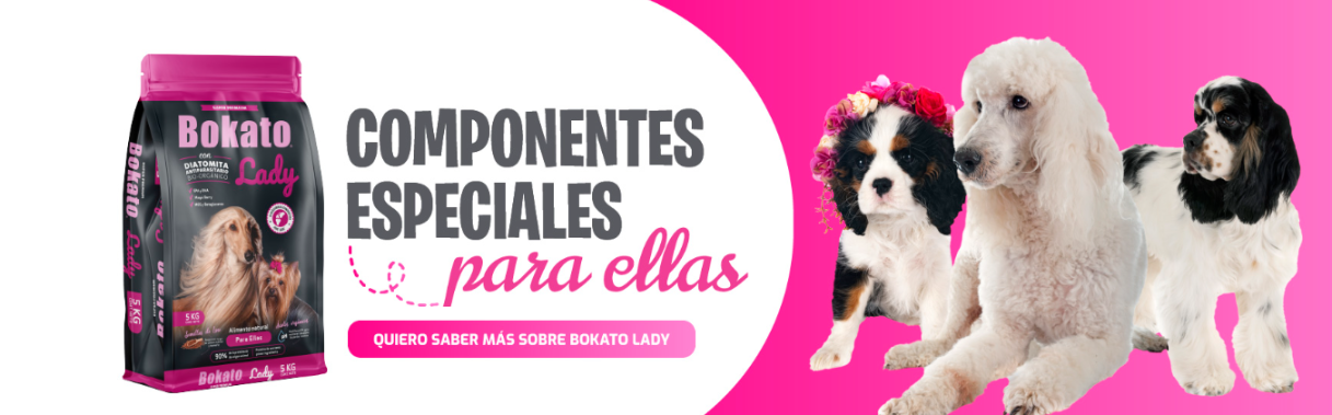 DISTRIBUIDOR OFICIAL BOKATO | ritmoanimal