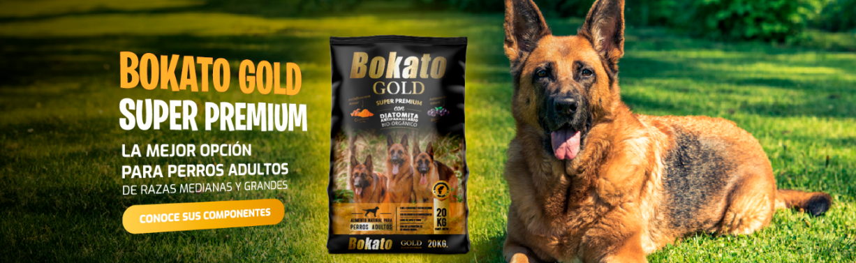 DISTRIBUIDOR OFICIAL BOKATO | ritmoanimal