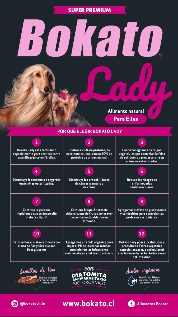 BOKATO LADY | ritmoanimal