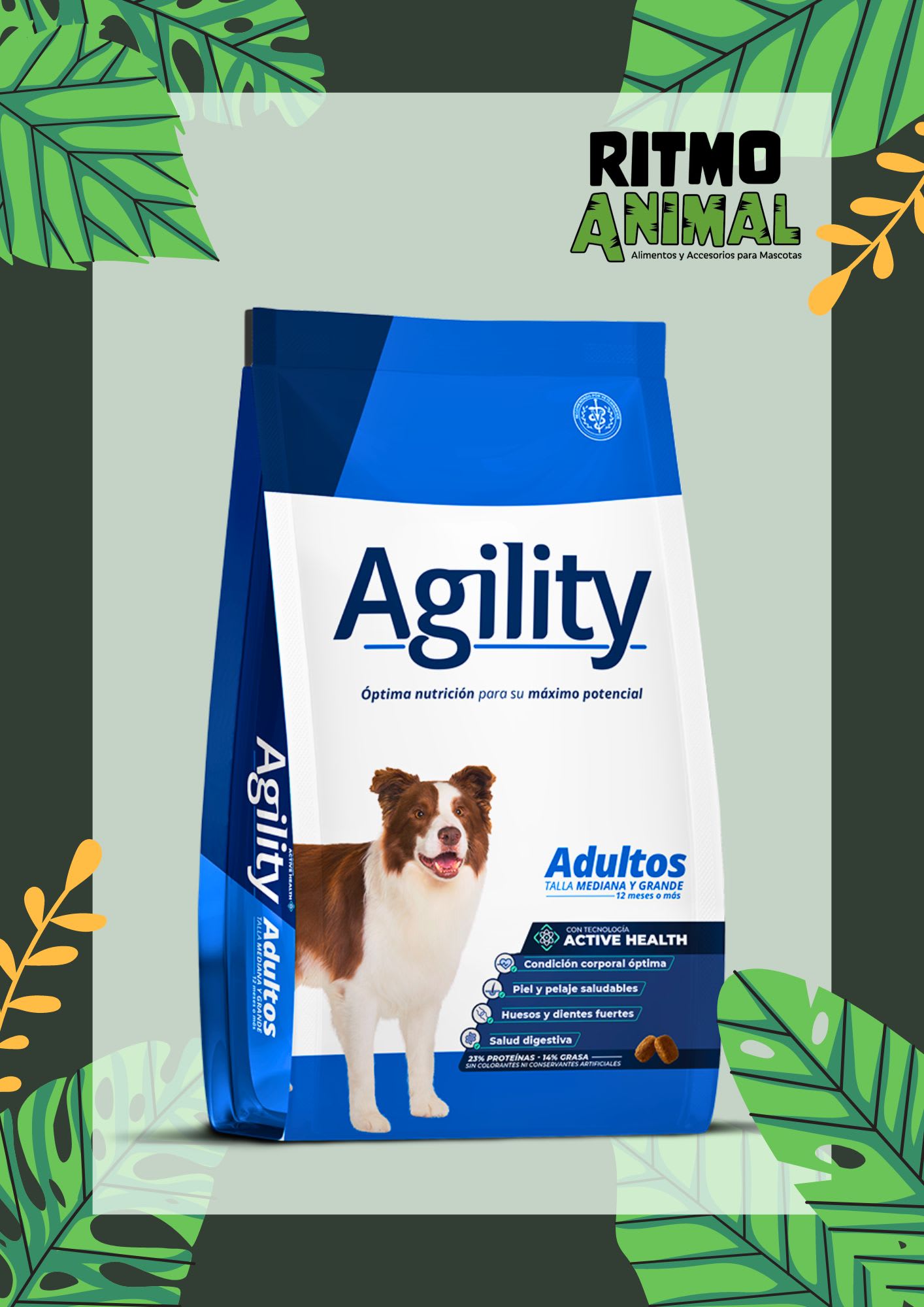 AGILITY PERRO ADULTO MyG | ritmoanimal