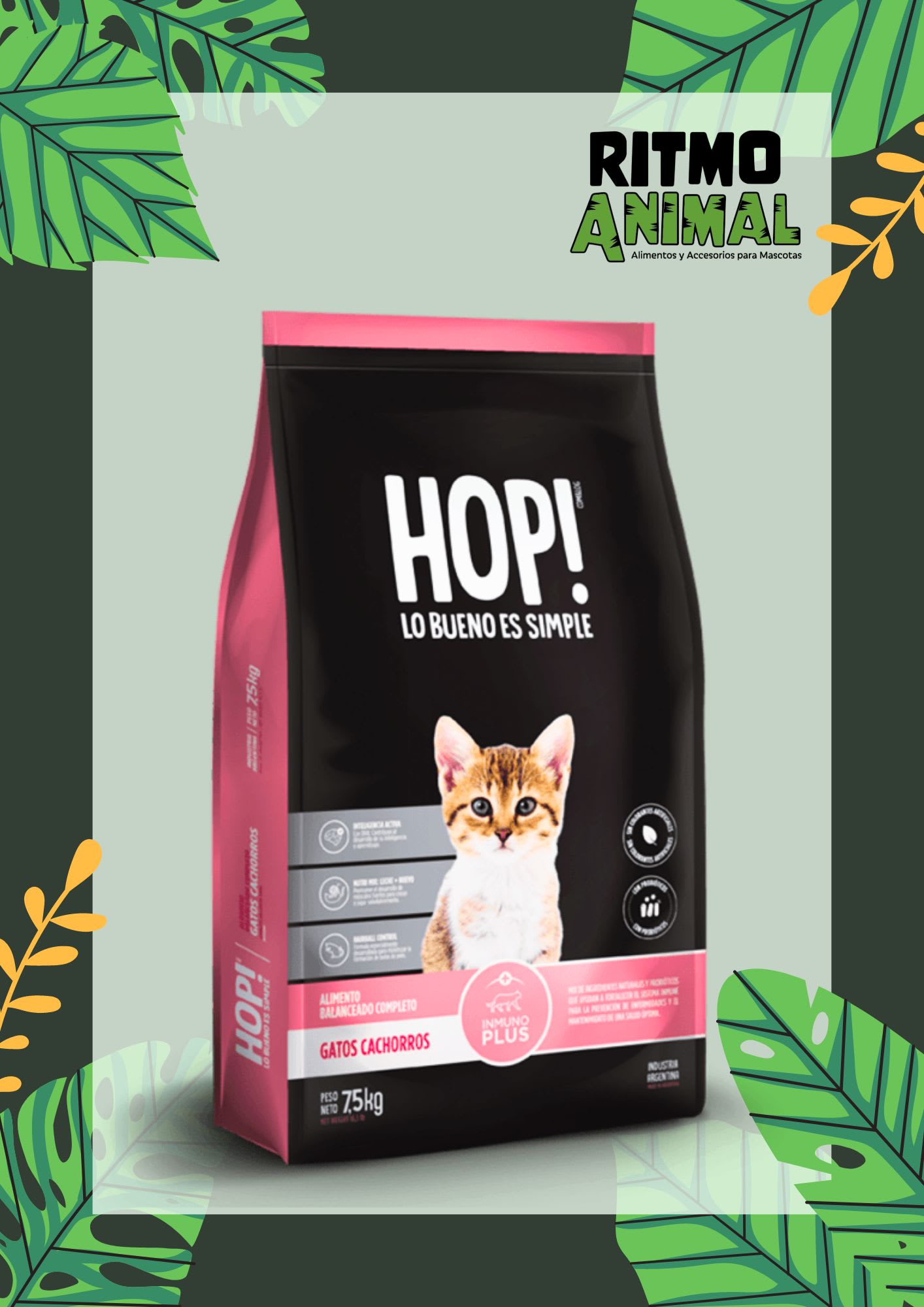 HOP GATO CACHORRO | ritmoanimal