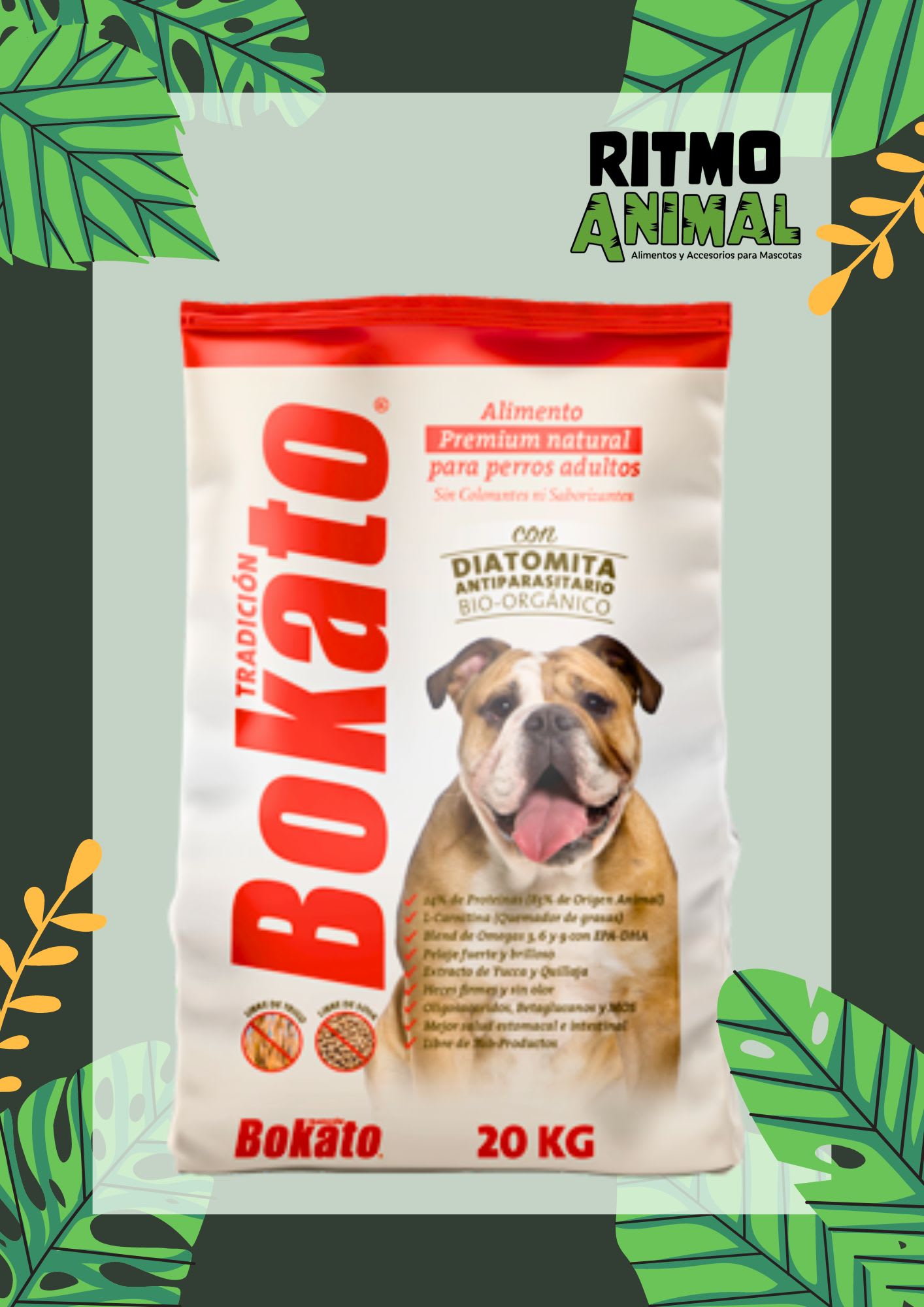 BOKATO TRADICION | ritmoanimal