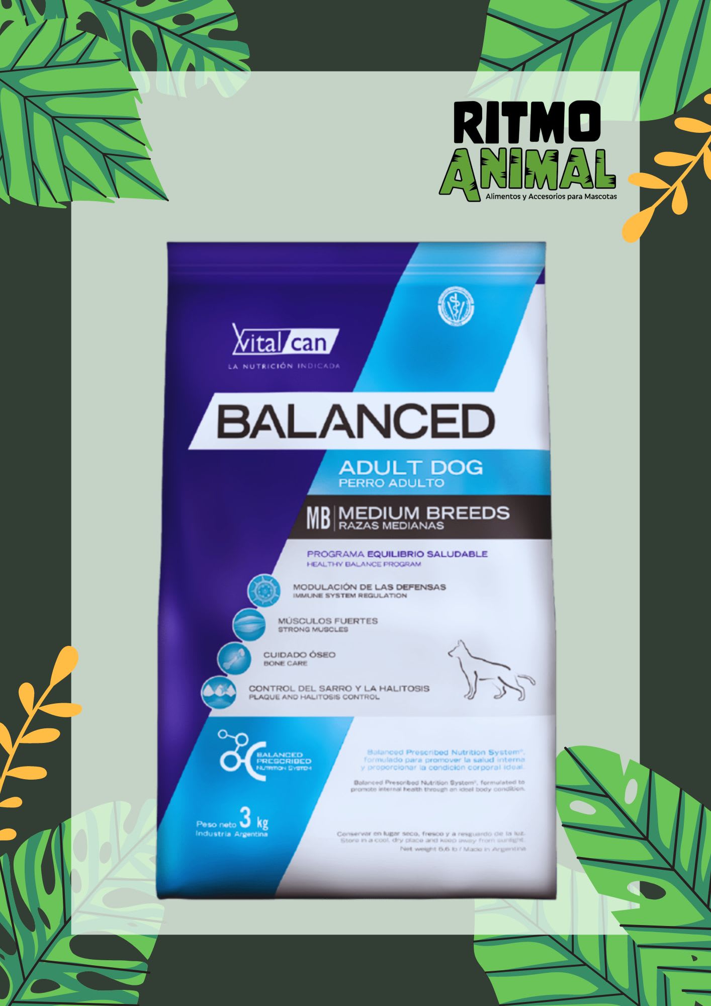 BALANCED PERRO ADULTO RAZA MEDIANA | ritmoanimal