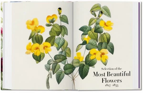 EL LIBRO DE LAS FLORES - Pierre-Joseph Redouté | La Pencilería