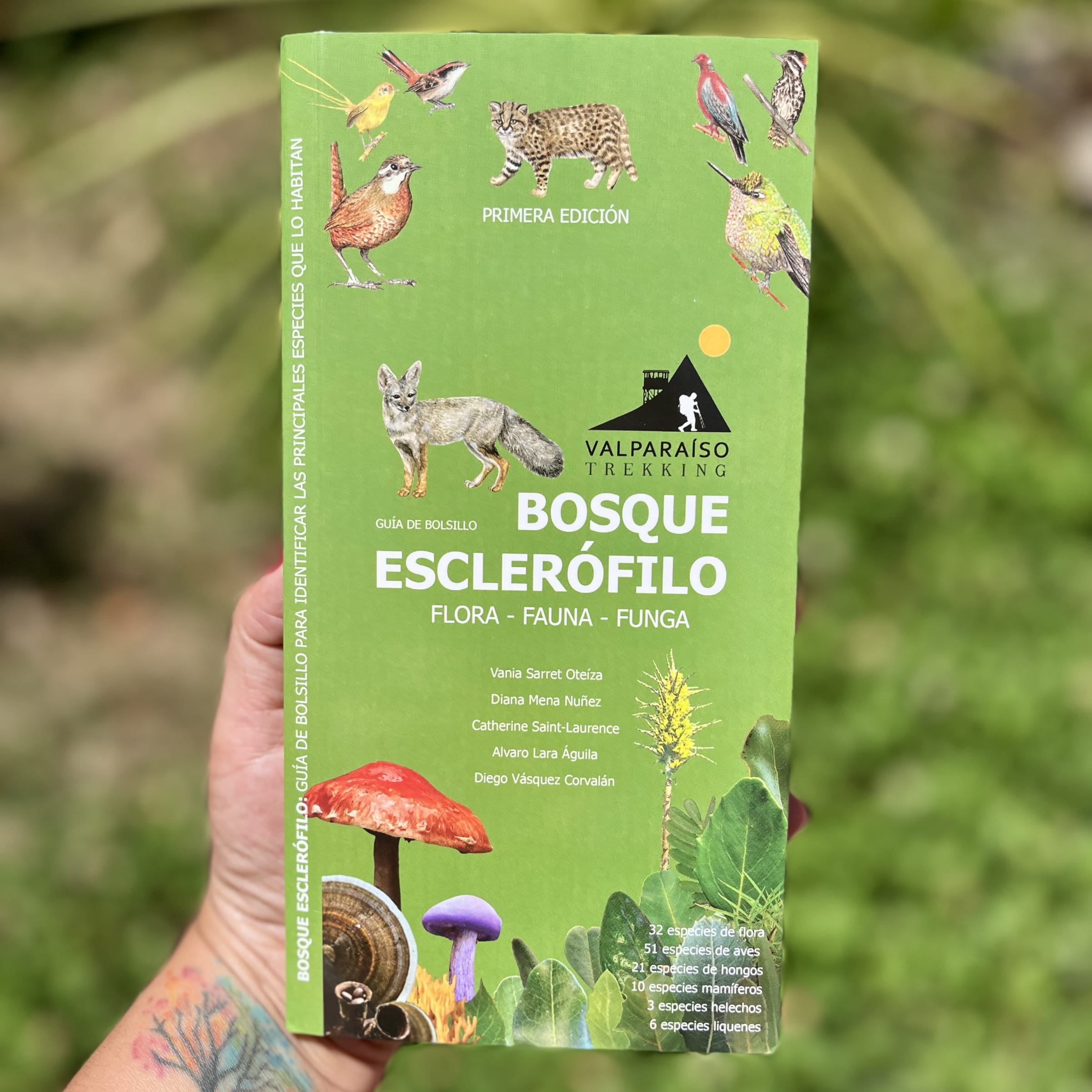 GUÍA DE BOLSILLO - Bosque Esclerófilo | La Pencilería