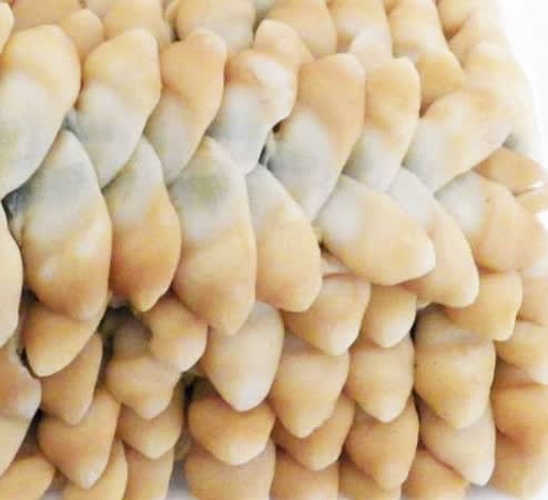 Navajuela Congeladas 1 kg | Z Gourmet