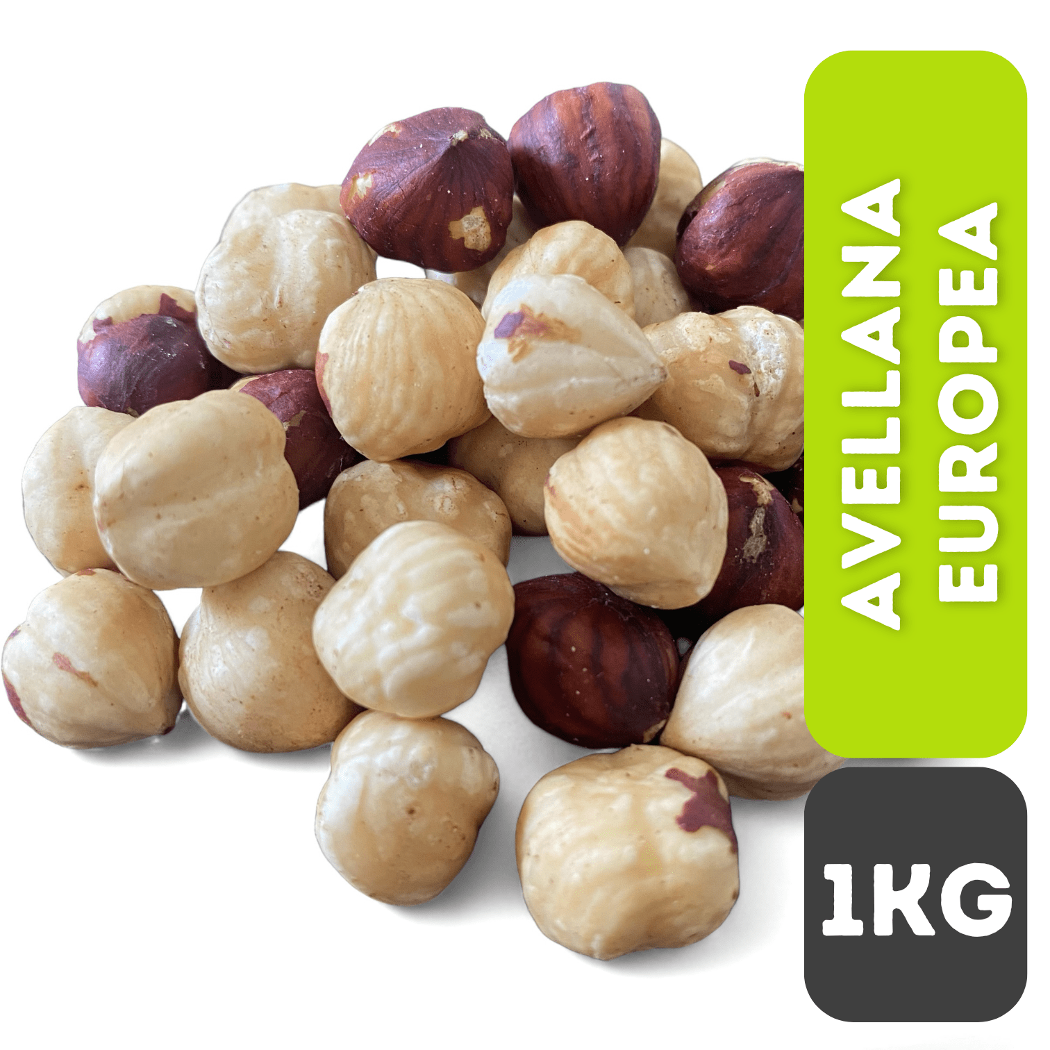 AVELLANA EUROPEA TOSTADA 1KG | La Casa de Granel