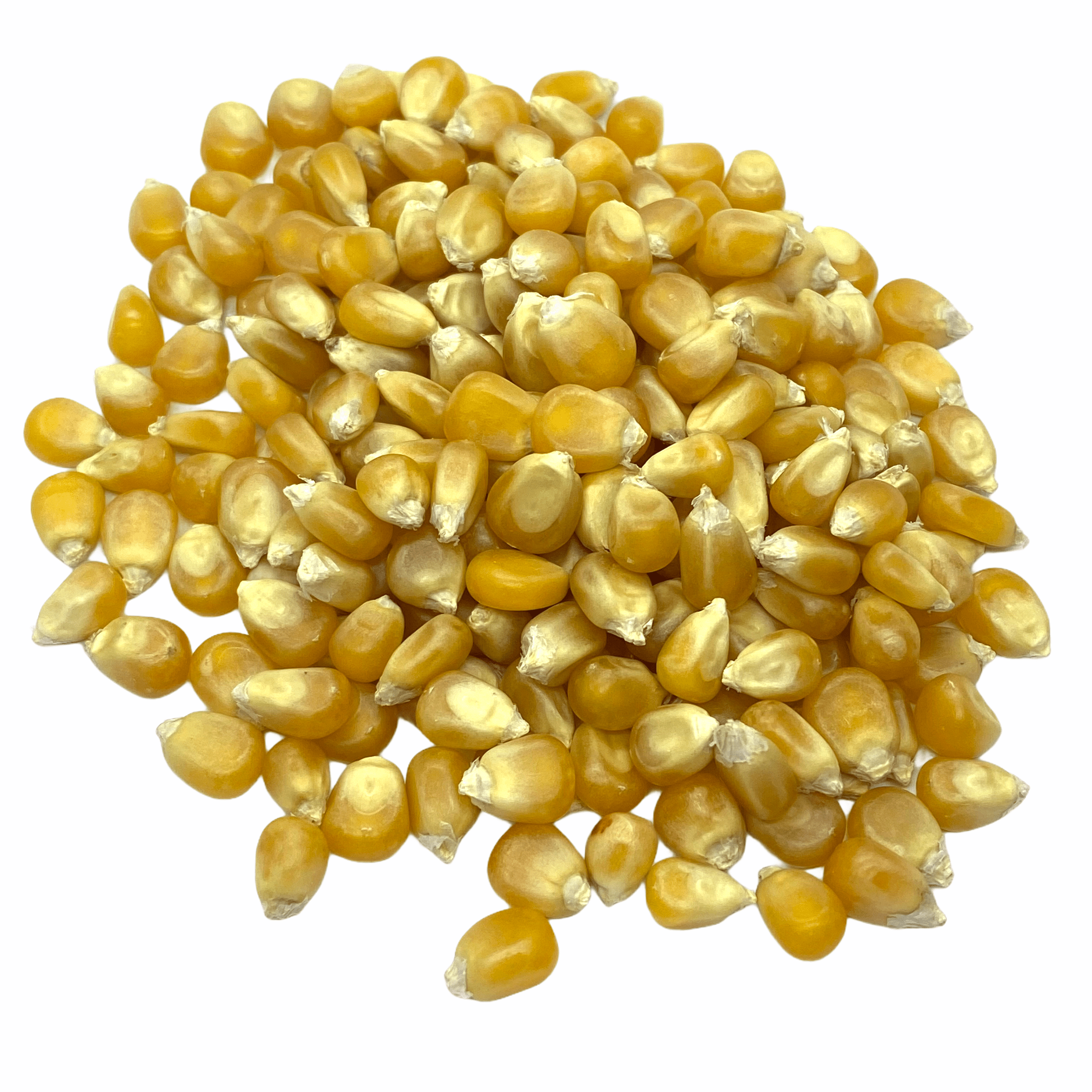 MAÍZ CURAGUA 500GR | La Casa de Granel