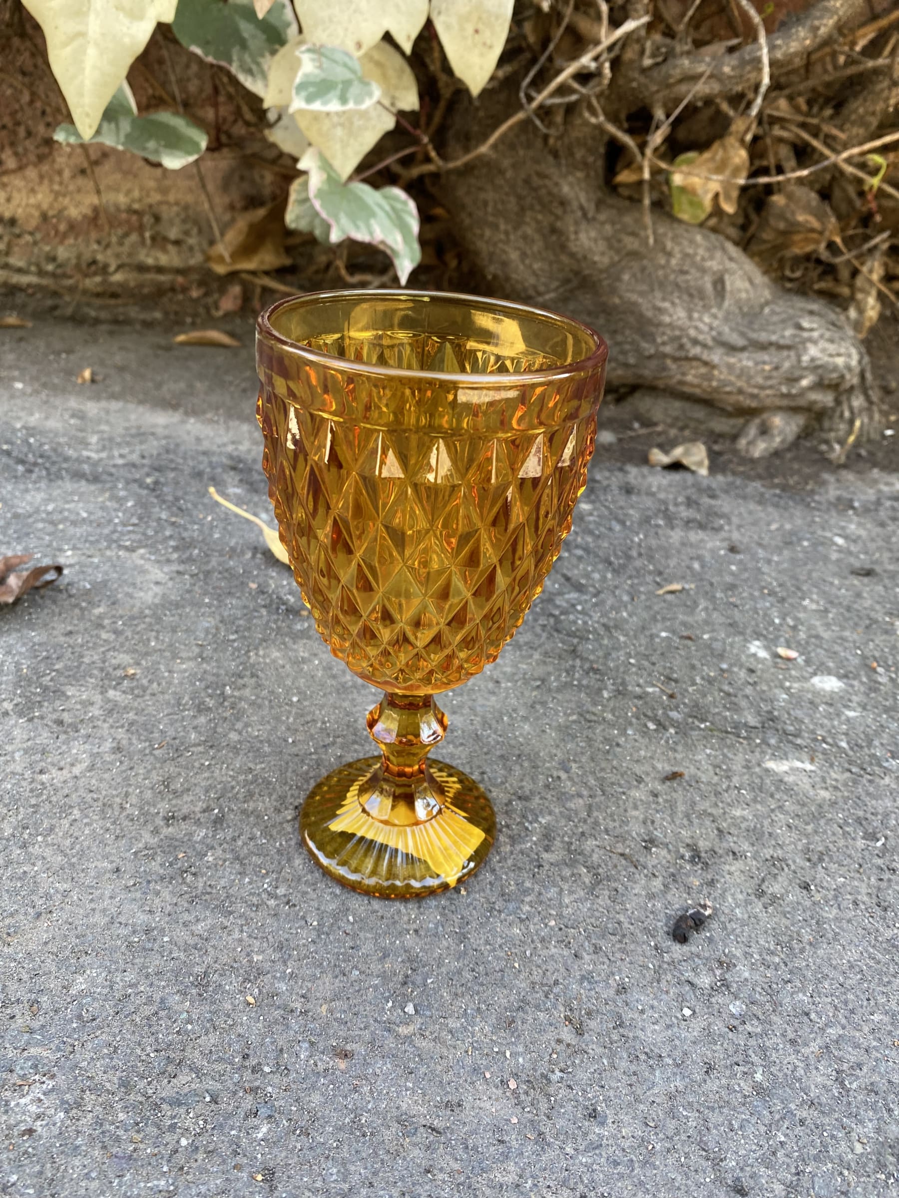 COPA DIAMANTE ÁMBAR | Amigas del Salto