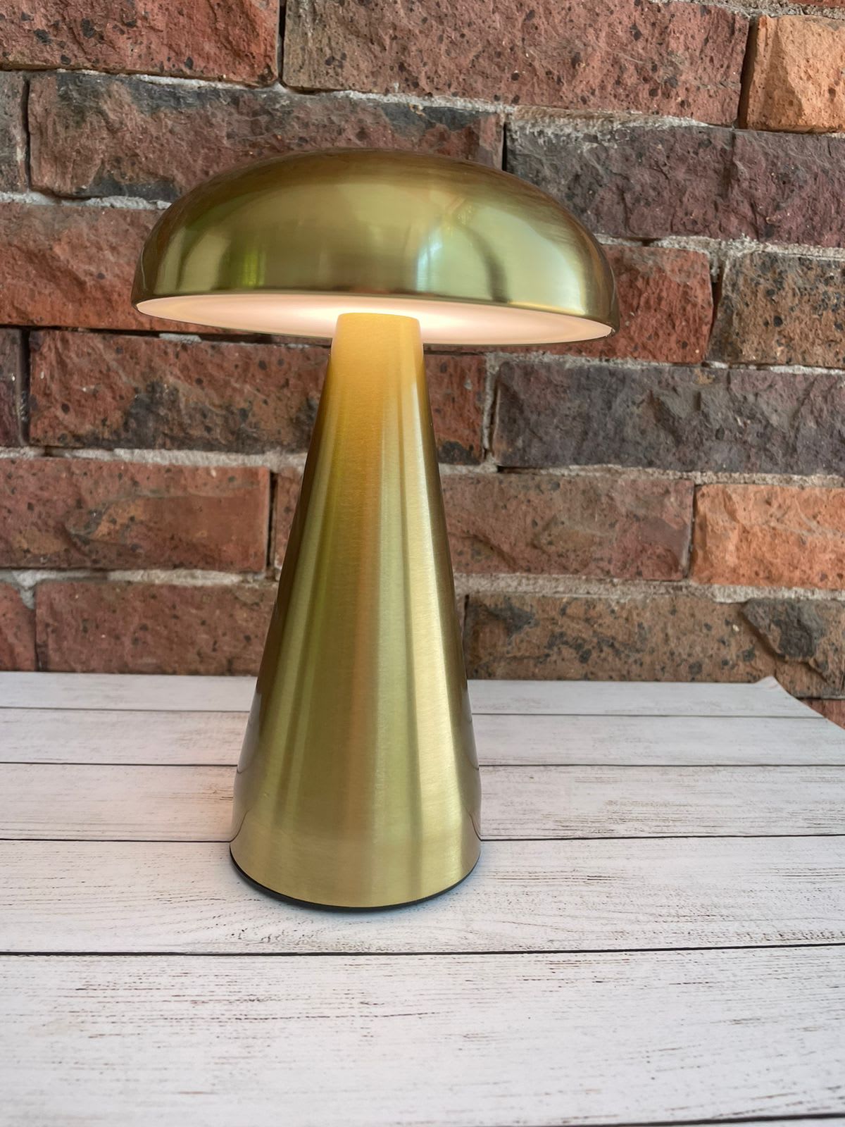 LAMPARA HONGO LED | AMIGAS DEL SALTO