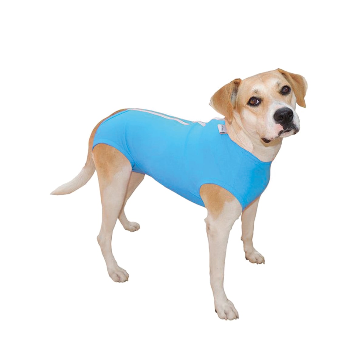 Ropa Post | Posta Veterinaria PM