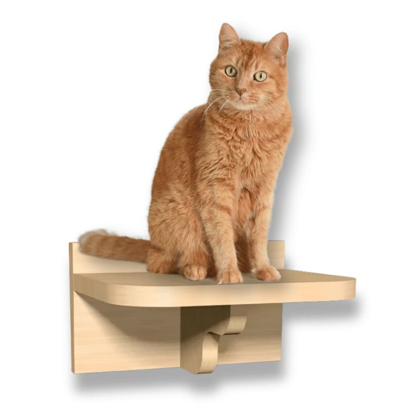 Repisa Madera 25 cm Largo | Posta Veterinaria PM