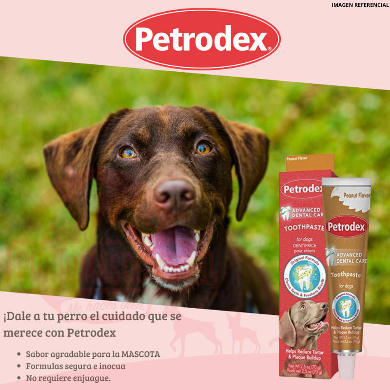 Petrodex Pasta Dental Perros Sabor Mani 70 gr | Posta Veterinaria PM