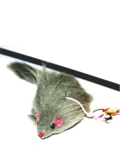 Varilla - Posta Veterinaria PM