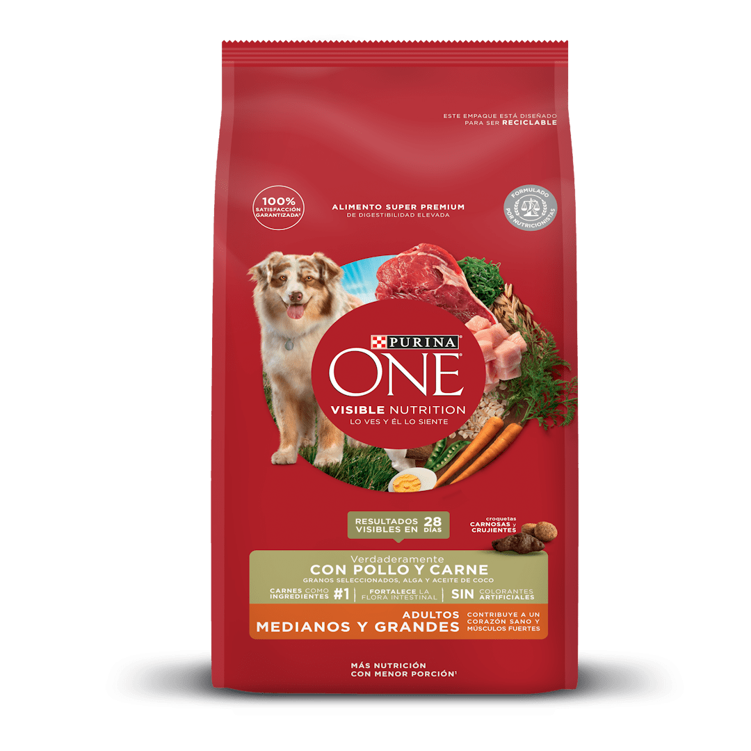 Purina ONE DOG ADULT MED/GRAND CARNE | FLORIDAPET