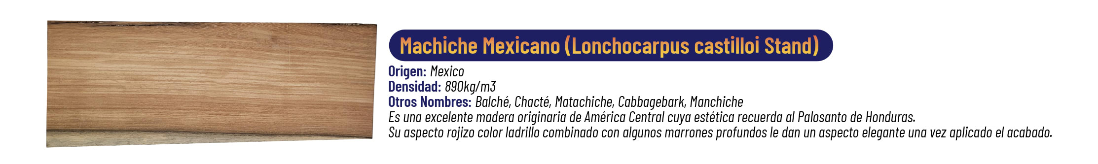 Machiche Mexicano | LB Luthier