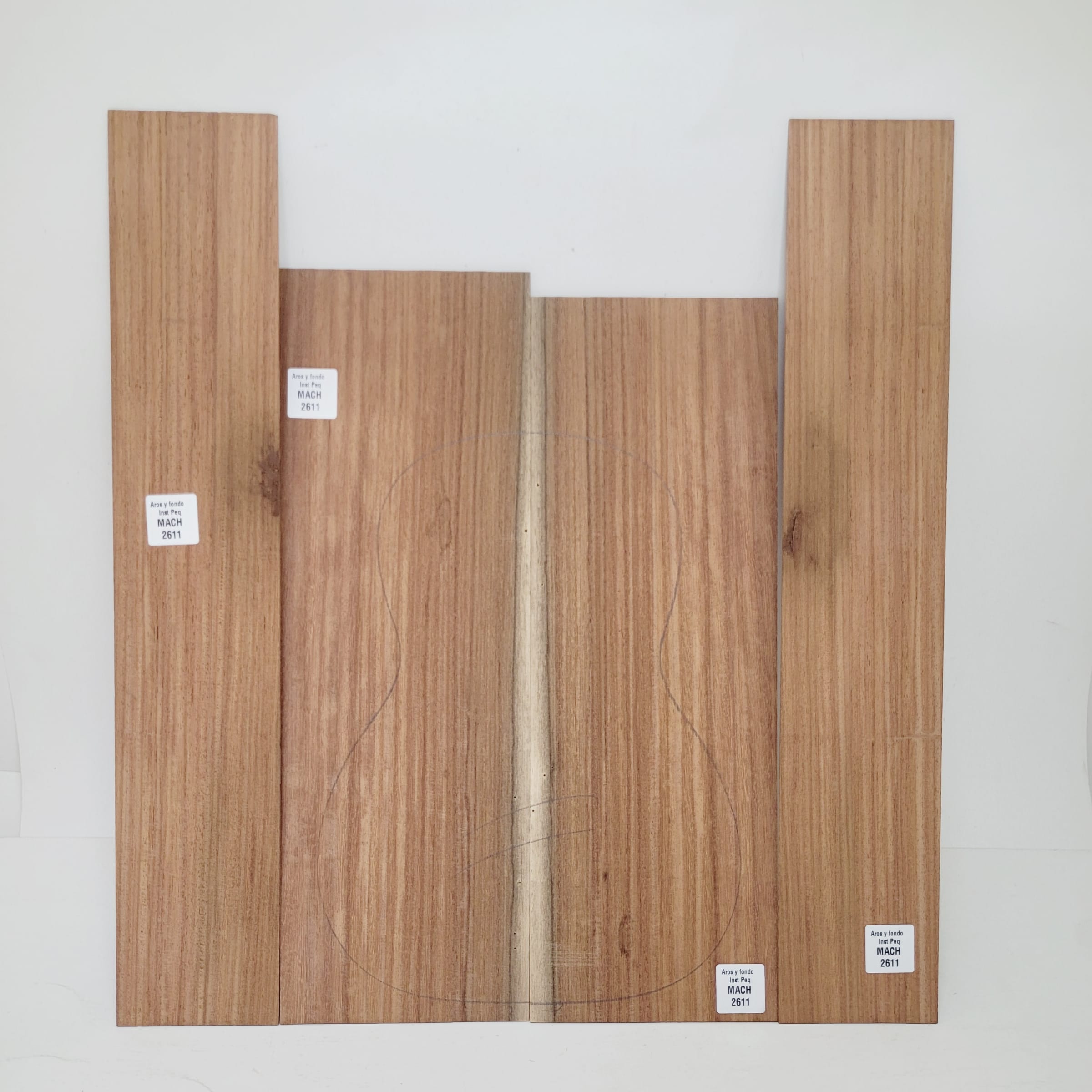 Set de Aros y Fondo con detalles para instrumentos pequeños de Machiche ...