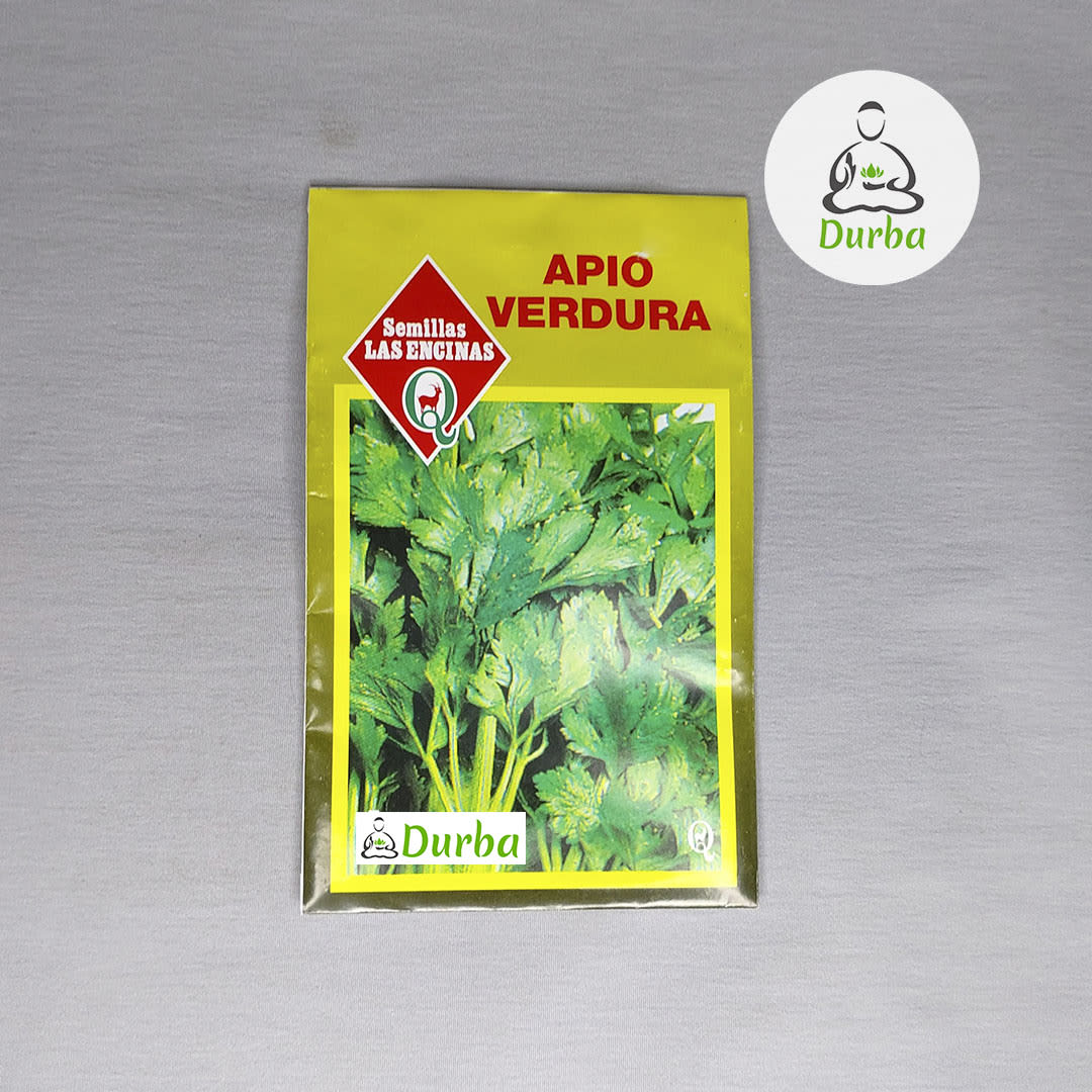 Apio Verdura | Durba Tienda de Jardinería