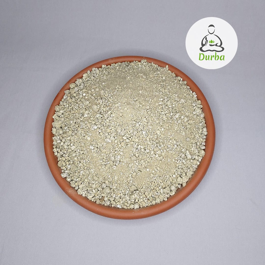 Maicillo | Durba Tienda de Jardinería