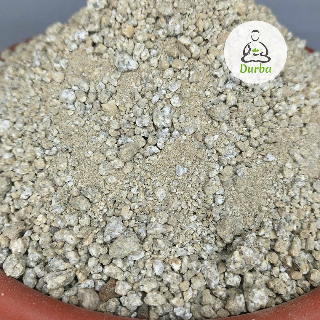 Maicillo | Durba Tienda de Jardinería