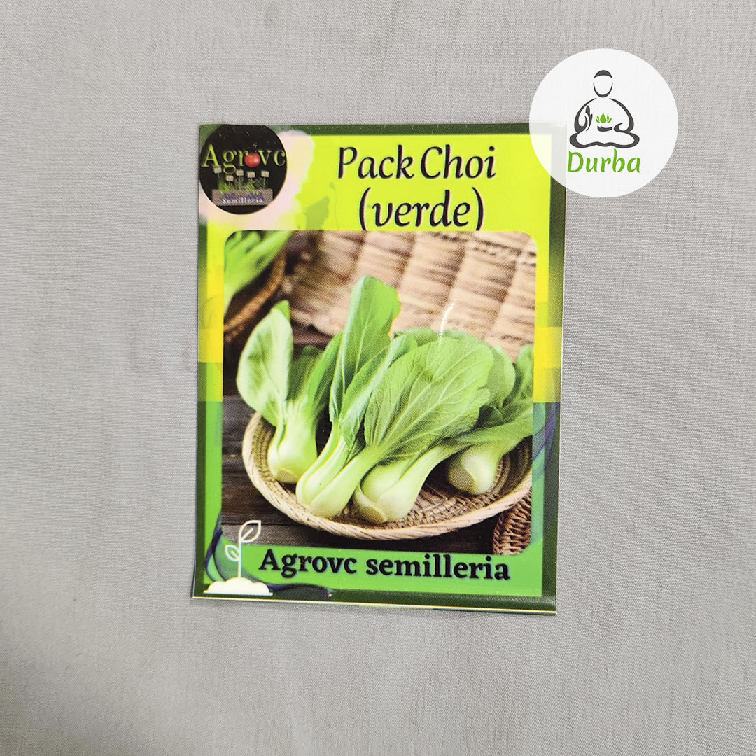 Pack Choi (verde) | Durba Tienda de Jardinería