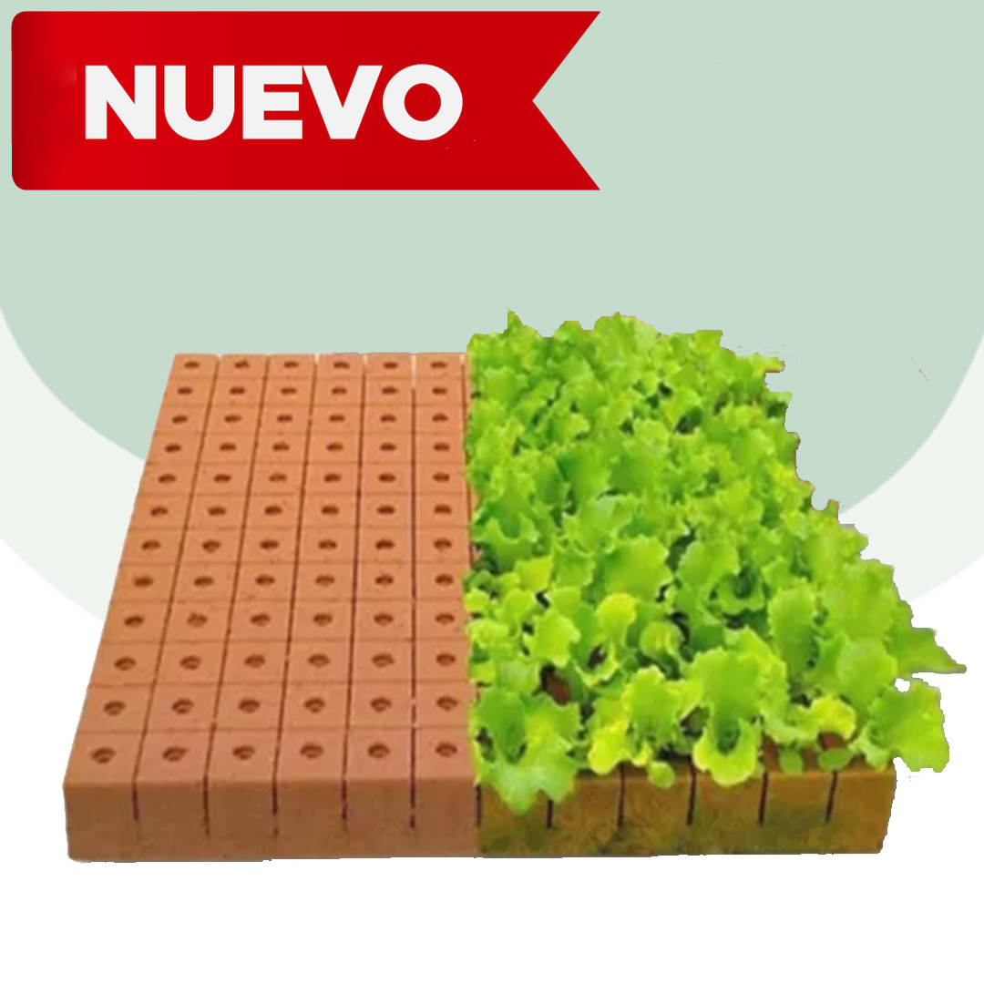 Espuma Fenólica para Hidroponía | Durba Tienda de Jardinería