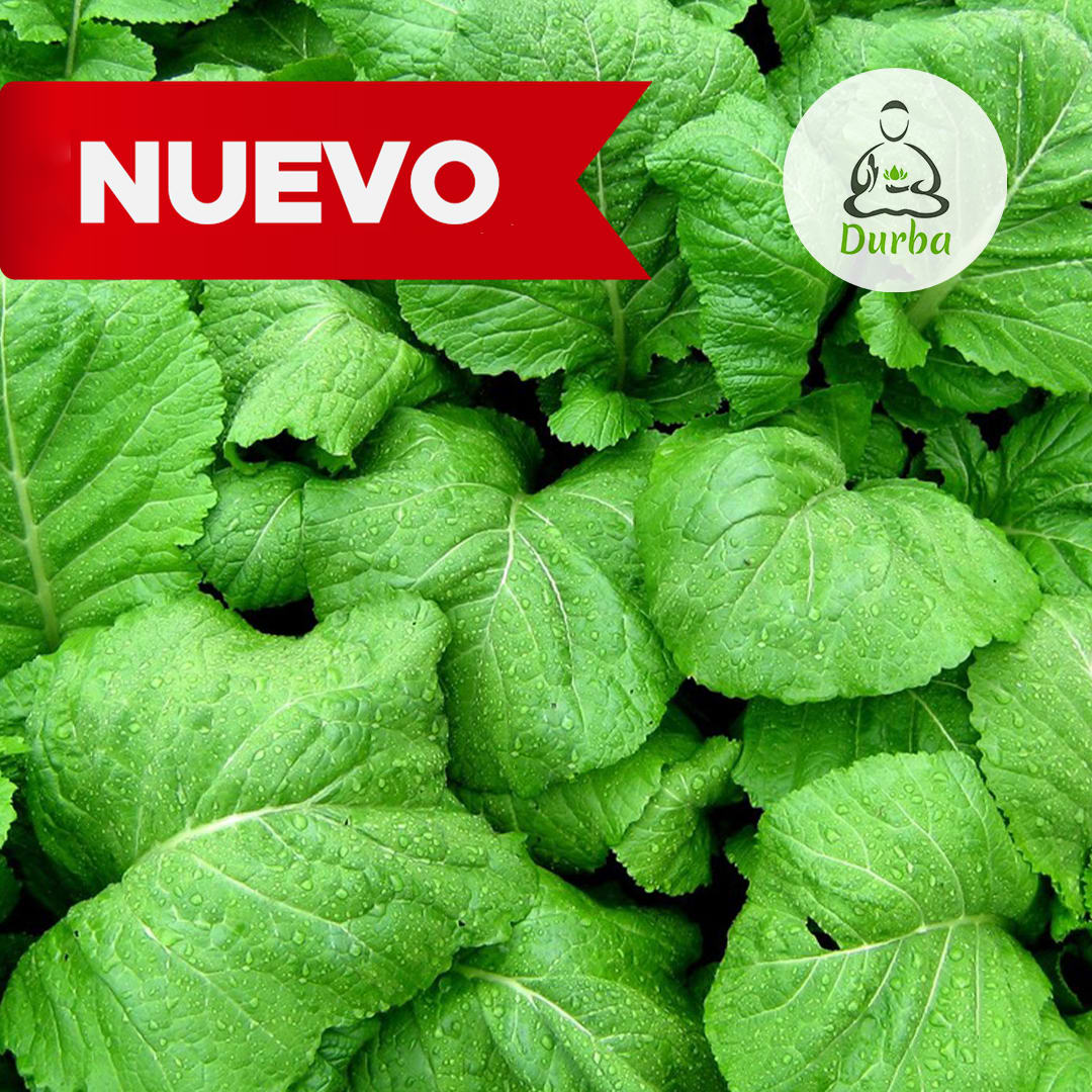 Mostaza Verde | Durba Tienda de Jardinería