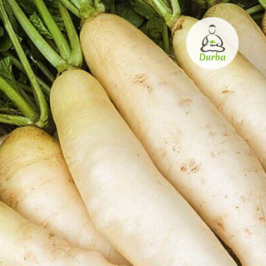 Nabo Blanco Largo | Durba Tienda de Jardinería