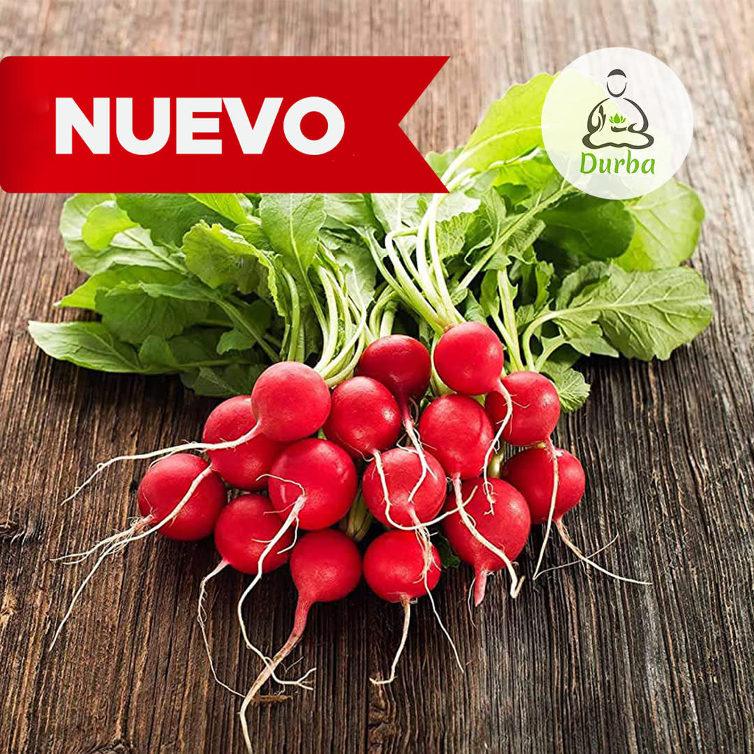 Rabanito Cherry Bell | Durba Tienda de Jardinería