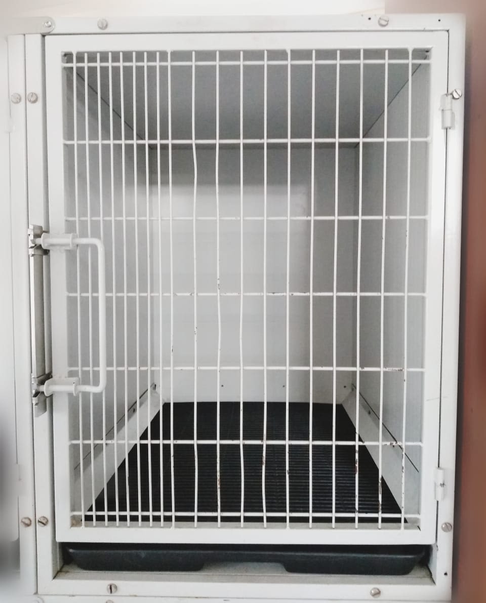 CANIL MODULAR MEDIANO | La Casa del Peluquero Canino