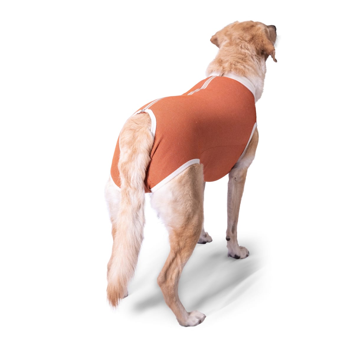 BODY COBRE CASTRACION PERRO MACHO T13 PESO 40 A 45KG | Clínica ...