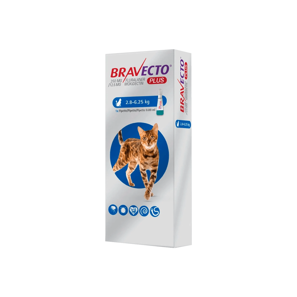 BRAVECTO GATO PLUS (DESPARASITA INTERNA Y EXTERNO) | Clínica Veterinaria Mundo Animal Todo Mascotas