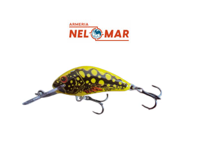 PESCA | ARMERIA NELMAR