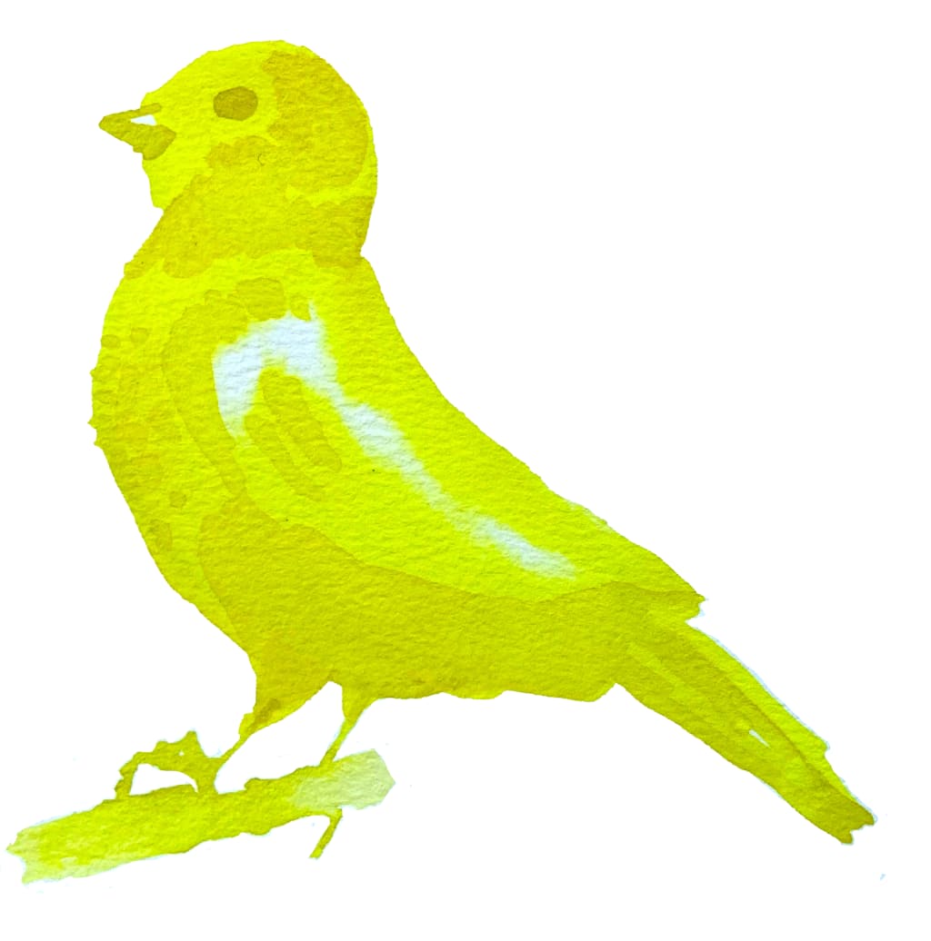Acuarela Amarillo Limón (Hansa) - Poética do Habitar | Arte Bee