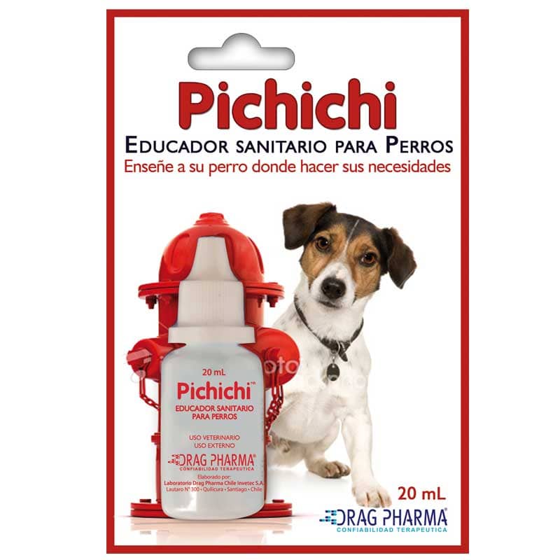 pichichi | El perro loco