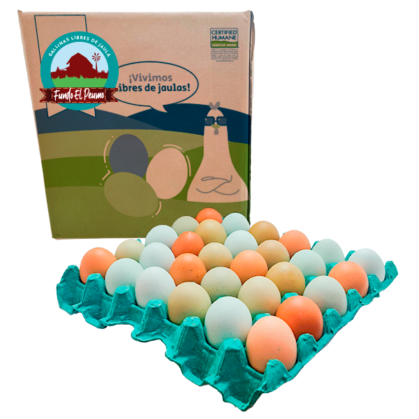 Huevos Gallina Libre | Fundo el Peumo - Bío Bío