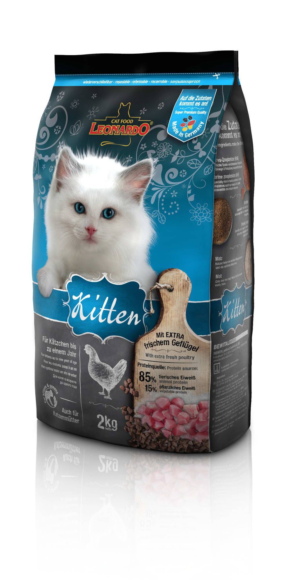LEONARDO KITTEN | Rekete Patitas Pet Shop