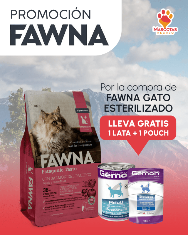 Fawna Gato | Mascotas Recreo