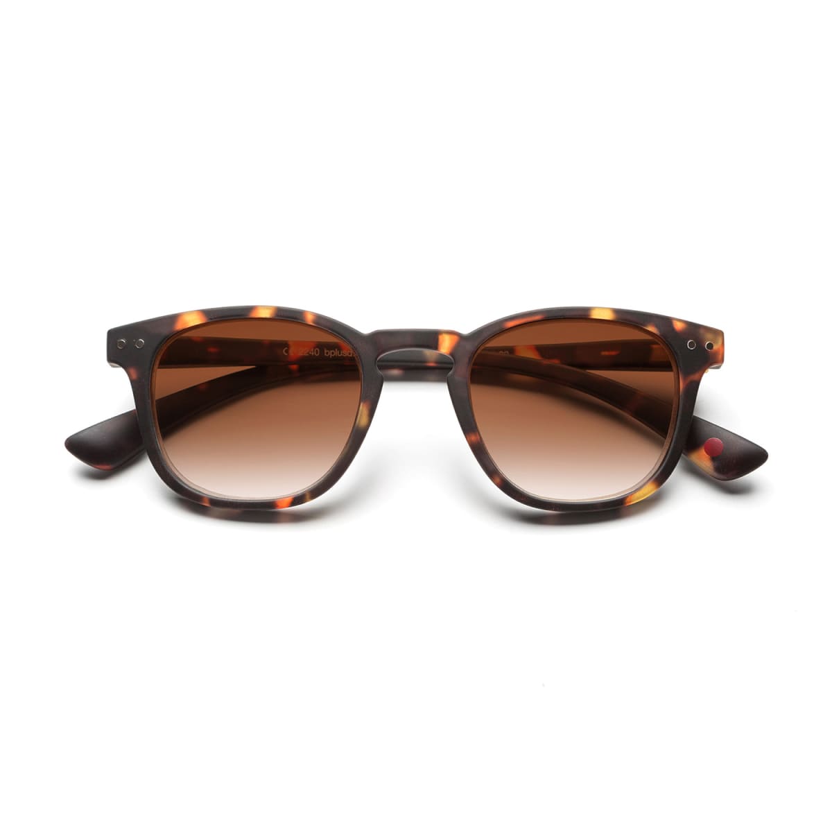 Lentes De Sol B+D DOT SUN READER- MATT TORTOISE +2.50 | B+D Chile