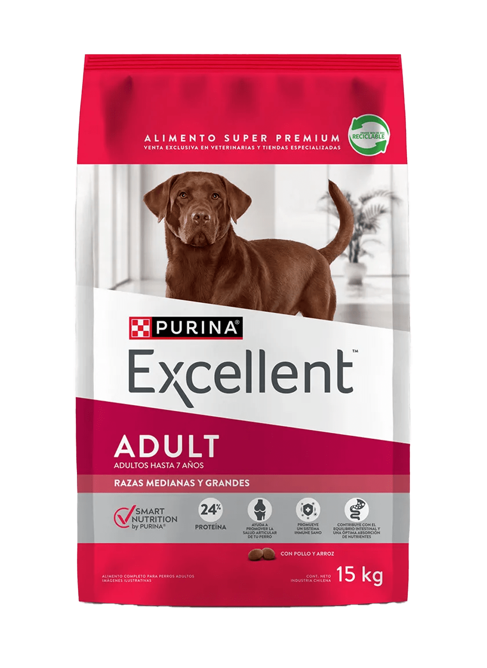 Excellent Dog | Lupet