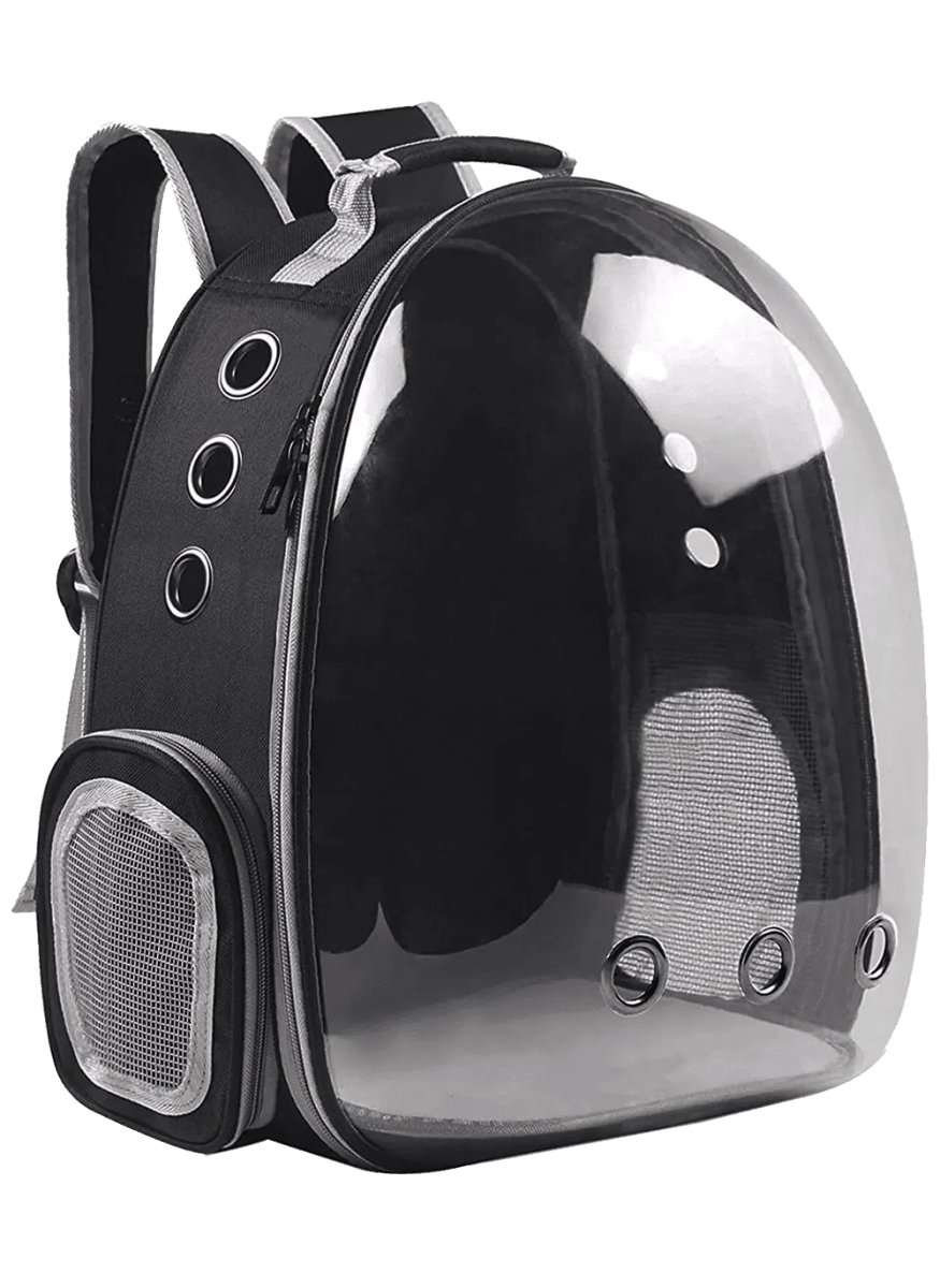 MOCHILA TRANSPARENTE | Lupet