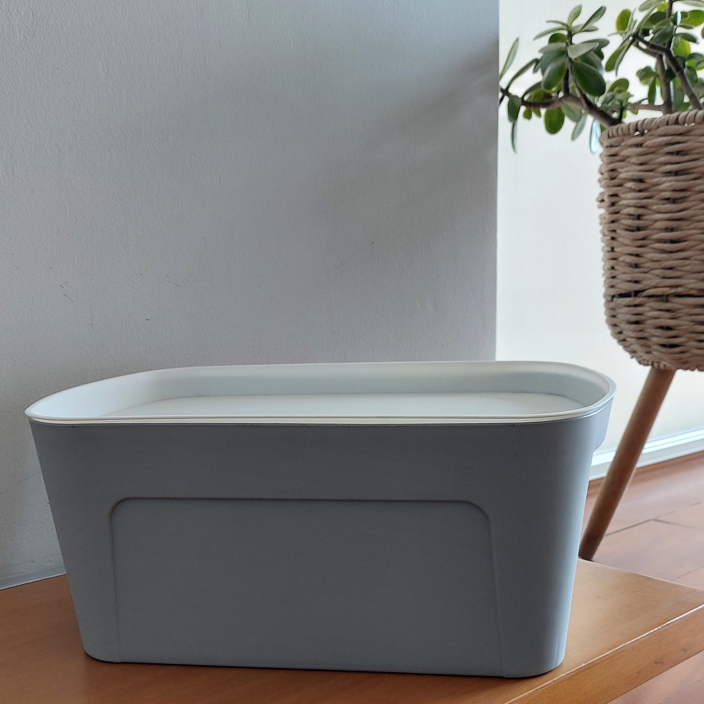 BOX GRIS | CON TAPA | SMALL | T-Organiza