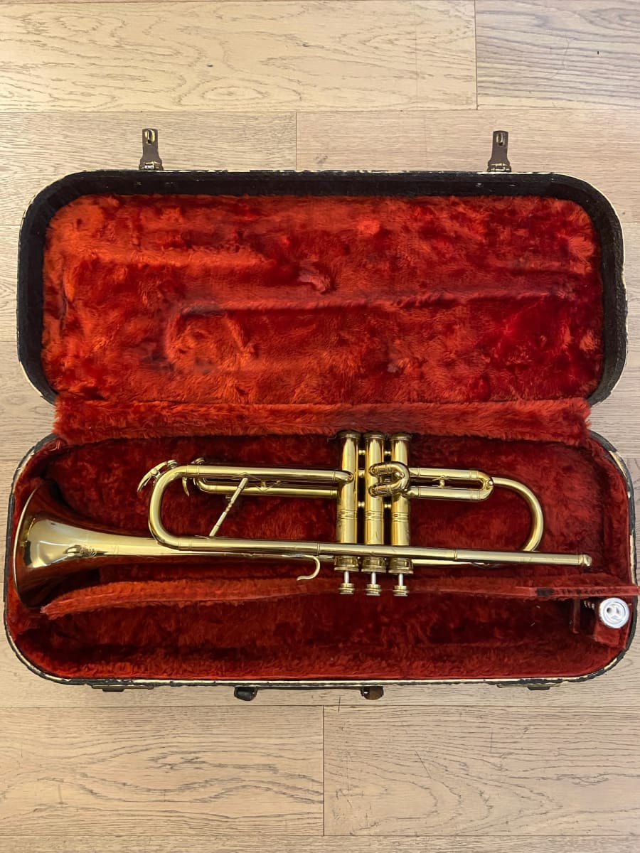 Trompeta Panamerican (SKU:2297) | Instrumentos Chile