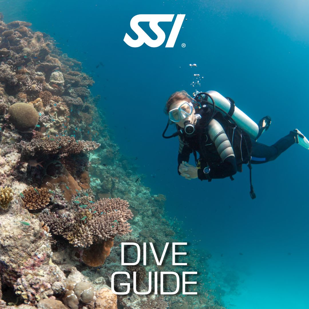 Dive Guide | Water Sports Perú