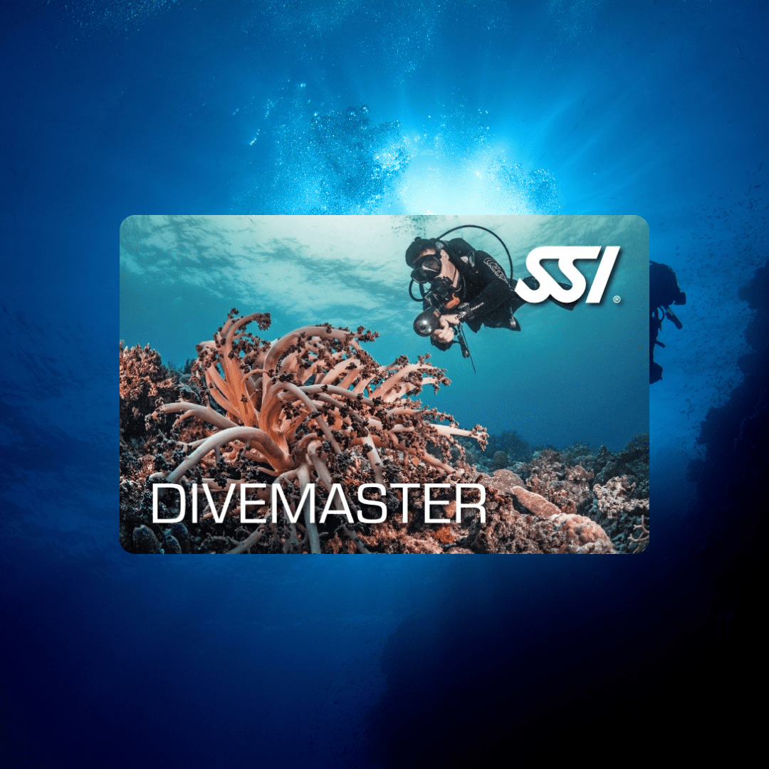 Divemaster Bundle | SB Divers, Centro de buceo SSI en Lima, Perú